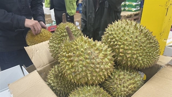 Vietnamese durian proves popular among UK market - Public Security News