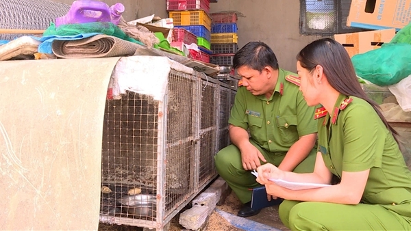 Nuôi Nhốt Hàng Loạt Chồn đèn Rắn Hổ Tại Nhà Riêng Báo Công An Nhân Dân điện Tử